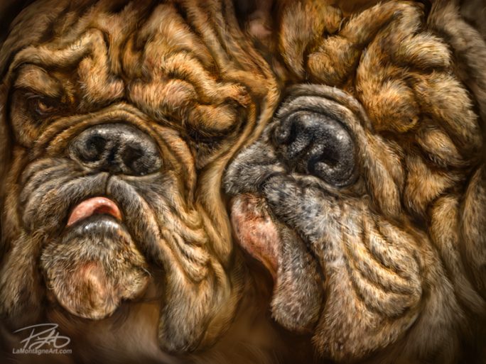 9 Things About Pet Portrait Commissions - LaMontagne Art