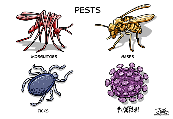 Cartoons - LaMontagne Art