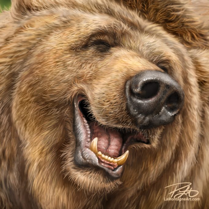 Laughing Bear - LaMontagne Art
