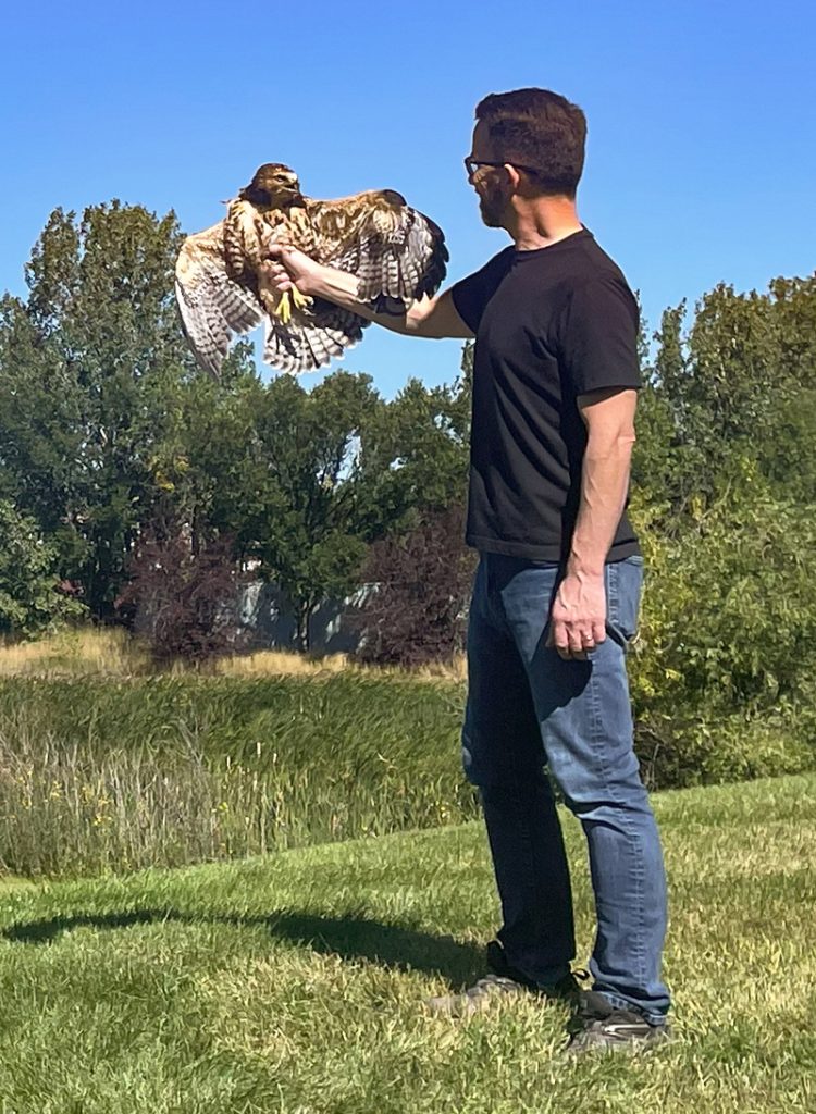 A Long Overdue Return to the Alberta Birds of Prey Centre - LaMontagne Art