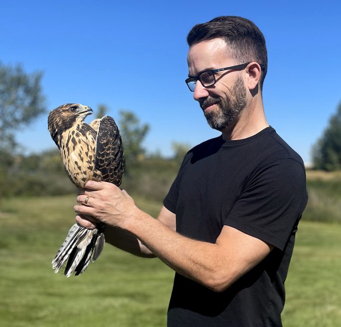 A Long Overdue Return to the Alberta Birds of Prey Centre - LaMontagne Art